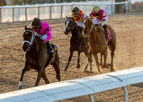 Strong Cox Trio Takes On Intricate in Rachel Alexandra - BloodHorse