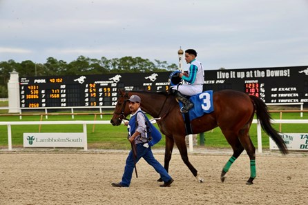 Book'em Danno - Horse Profile - BloodHorse