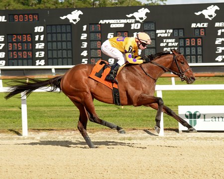 Ari's Magic Bewitches Rivals in Debut Score - BloodHorse