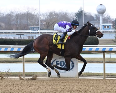 Capone - Horse Profile - BloodHorse