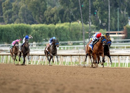 Muth - Horse Profile - BloodHorse