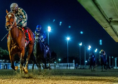 Track Phantom - Horse Profile - BloodHorse