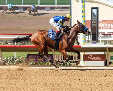 National Treasure - Horse Profile - BloodHorse