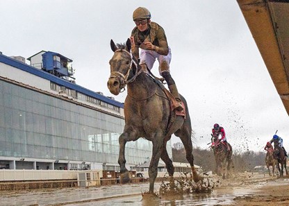 Post Time - Horse Profile - BloodHorse