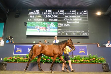 Too Darn Hot Colt Headlines Fairway's Stellar Day - BloodHorse