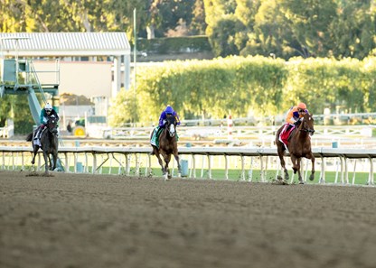 Kopion - Horse Profile - BloodHorse