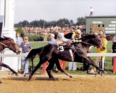 Seattle Slew - Horse Profile - BloodHorse