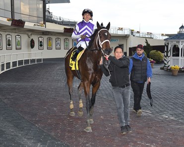 Capone - Horse Profile - BloodHorse