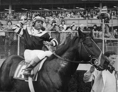 Seattle Slew - Horse Profile - BloodHorse