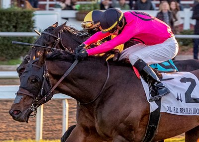 Equibase | Horse Racing | Horse Racing Entries | Horse Racing Results ...