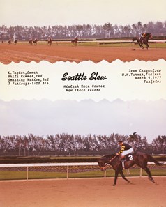 Seattle Slew - Horse Profile - BloodHorse