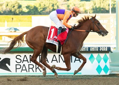 Kopion - Horse Profile - BloodHorse