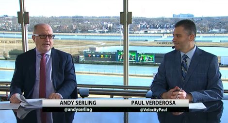 Stakes Preview: Busanda and Mockingbird - Video - - BloodHorse