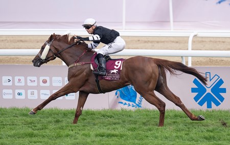 Oddyssey (GB) - Horse Profile - BloodHorse
