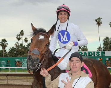 Pepper Mill - Horse Profile - BloodHorse