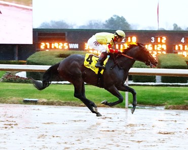 Machine Gun Man - Horse Profile - BloodHorse