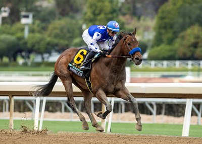 Equibase | Horse Racing | Horse Racing Entries | Horse Racing Results ...