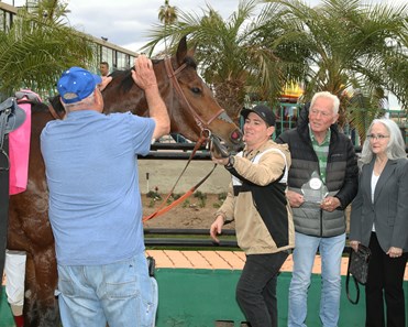 Pepper Mill - Horse Profile - BloodHorse