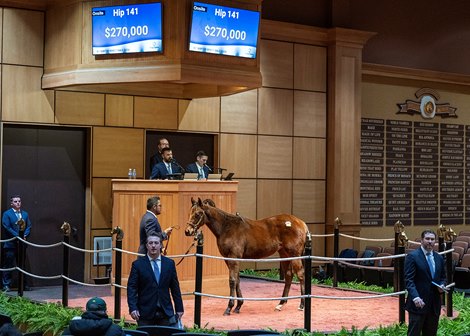 Day 1 $270K Good Magic Colt Casts a Spell on Taylor - BloodHorse