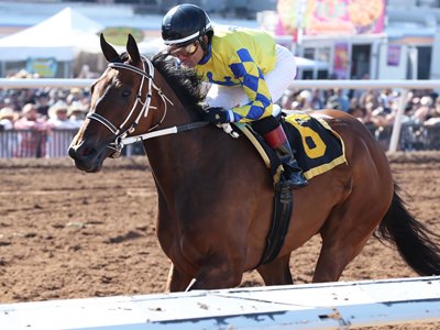 Equibase | Horse Racing | Horse Racing Entries | Horse Racing Results ...