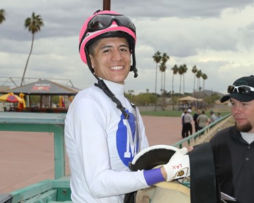 Pepper Mill - Horse Profile - BloodHorse