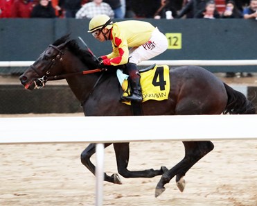 Machine Gun Man - Horse Profile - BloodHorse