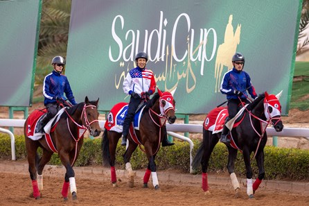 Forever Young (JPN) - Horse Profile - BloodHorse