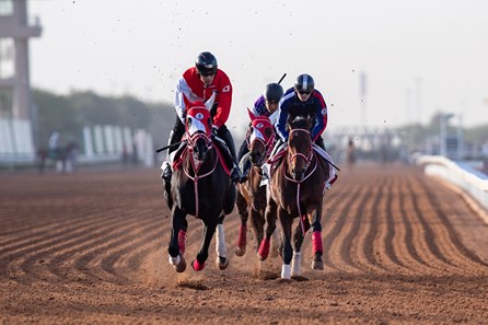 Forever Young (JPN) - Horse Profile - BloodHorse