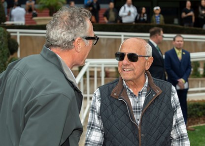 Big Pond - Horse Profile - BloodHorse