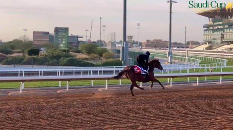 Saudi Cup - Trackwork Feb. 21 - Video - - BloodHorse