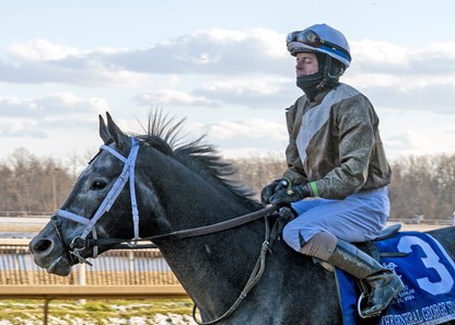 Post Time - Horse Profile - BloodHorse