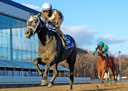 Post Time - Horse Profile - BloodHorse