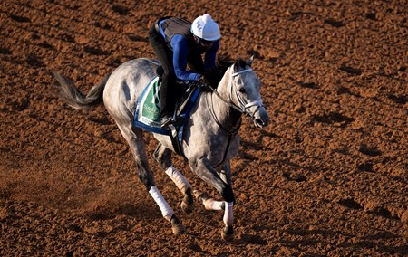 Saudi Crown - Horse Profile - BloodHorse
