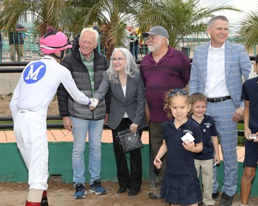 Pepper Mill - Horse Profile - BloodHorse