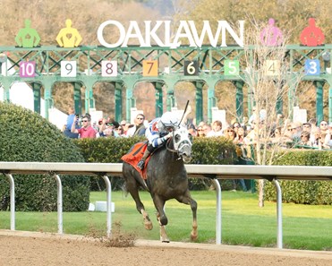 Lemon Muffin - Horse Profile - BloodHorse