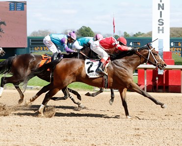 Texas Red Hot - Horse Profile - BloodHorse
