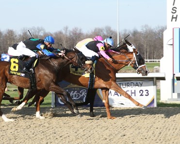Voice From Above - Horse Profile - BloodHorse