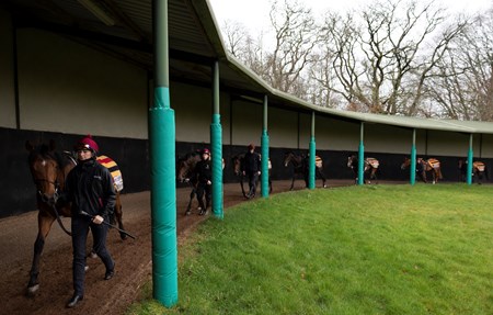 Henry Longfellow (IRE) - Horse Profile - BloodHorse