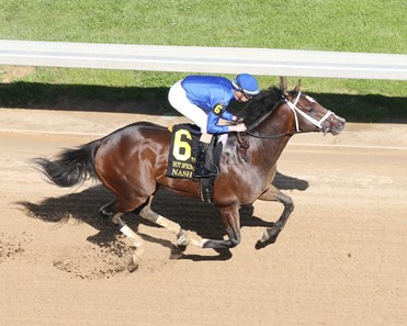 Nash - Horse Profile - BloodHorse