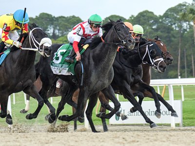 Equibase | Horse Racing | Horse Racing Entries | Horse Racing Results ...