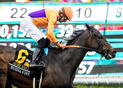 Ruby Nell - Horse Profile - BloodHorse