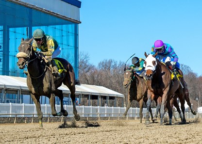 Too Many Kisses - Horse Profile - BloodHorse