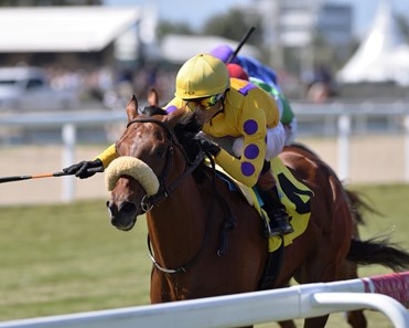 Far Bridge - Horse Profile - BloodHorse