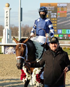 Endlessly - Horse Profile - BloodHorse