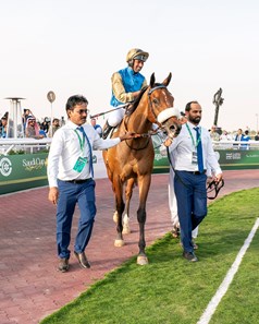 King Shalaa (FR) - Horse Profile - BloodHorse