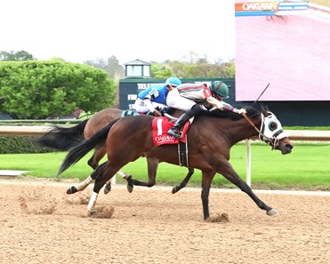 Lady Moscato - Horse Profile - BloodHorse