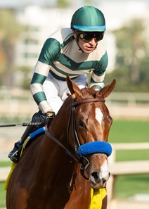 Kinza - Horse Profile - BloodHorse