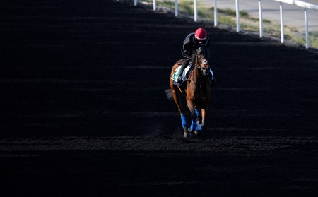 Emily Upjohn (GB) - Horse Profile - BloodHorse