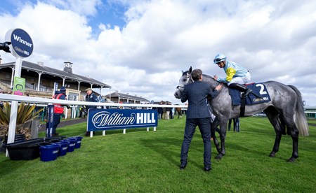 Charyn (IRE) - Horse Profile - BloodHorse