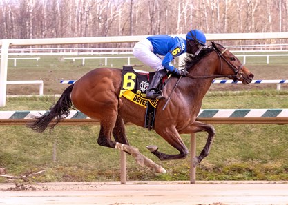 Determined Driver - Horse Profile - BloodHorse